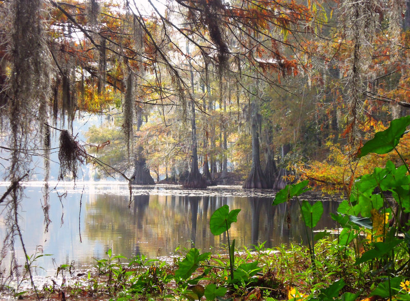 Chicot Lake Trail Hiking Trail, Ville Platte, Louisiana