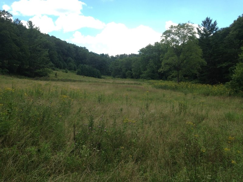 Matthews State Forest MTB Trail Hiking Trail, Galax, Virginia