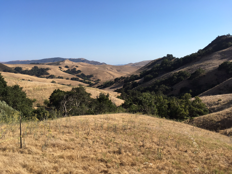Poly Canyon Road Hiking Trail, San Luis Obispo, California