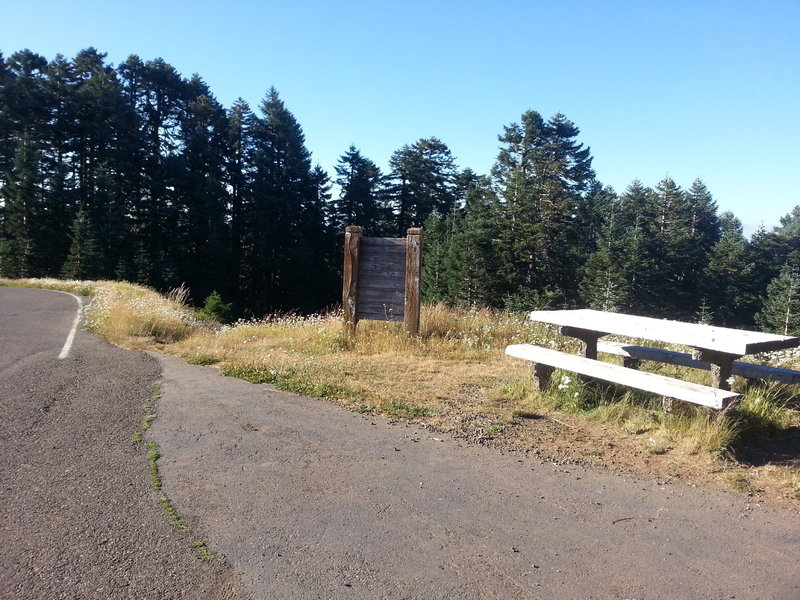 North Ridge Trail Hiking Trail, Philomath, Oregon