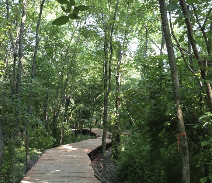 Razorback Regional Greenway Hiking Trail, Fayetteville, Arkansas