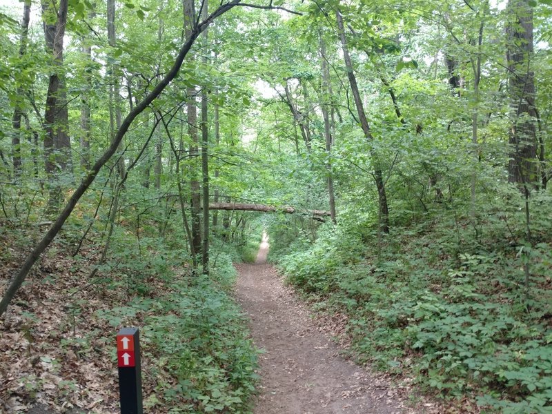 Heritage Park Hiking Trail, Adrian, Michigan