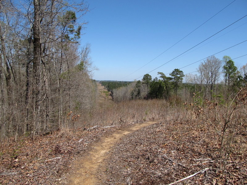 Power Line Trail Running Trail, Louisville, Mississippi