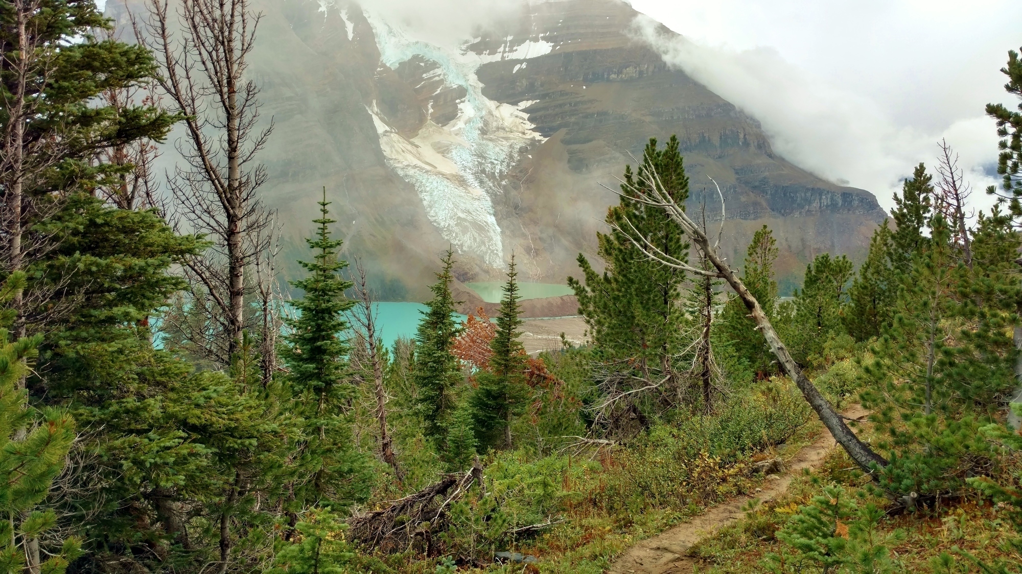 Berg Lake, Mist Glacier, and the base of Mt. Robson appear through the ...