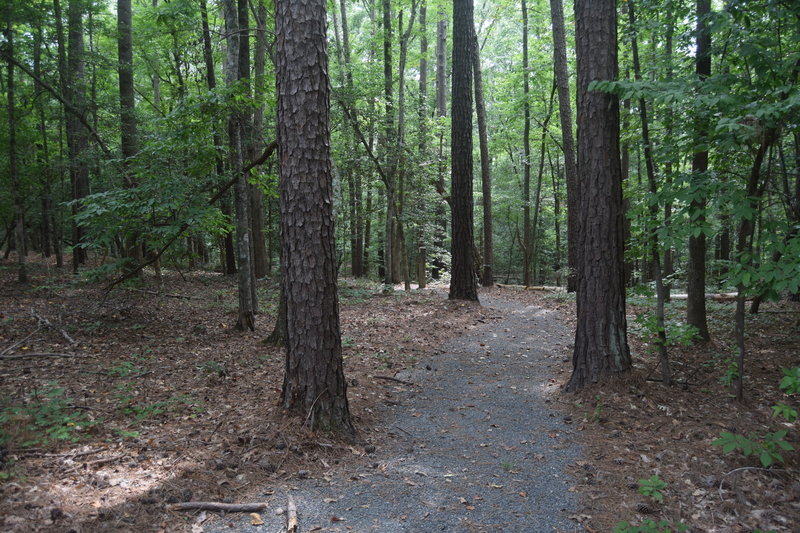 Talking Tree Trail Hiking Trail, Fearrington Village, North Carolina