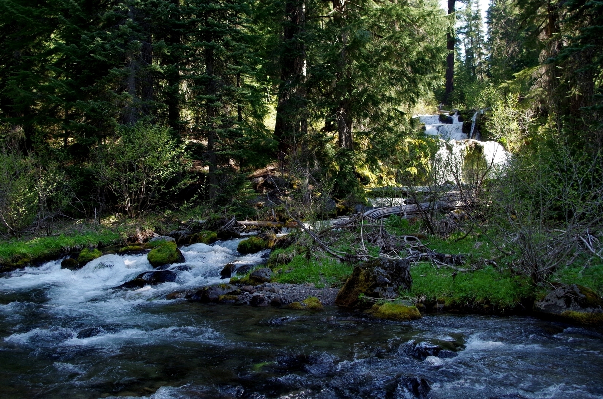 The Cascade On The East Fork Of Muir Creek