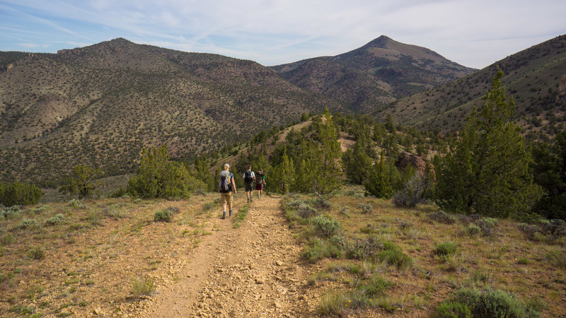 Gray Butte Trail #852 Hiking Trail, Terrebonne, Oregon