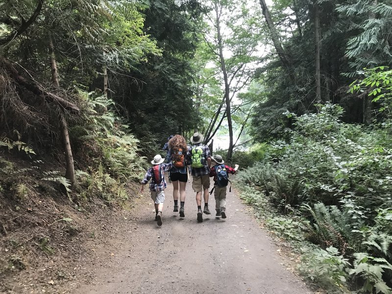 Mount Erie Summit Hiking Trail, Anacortes, Washington