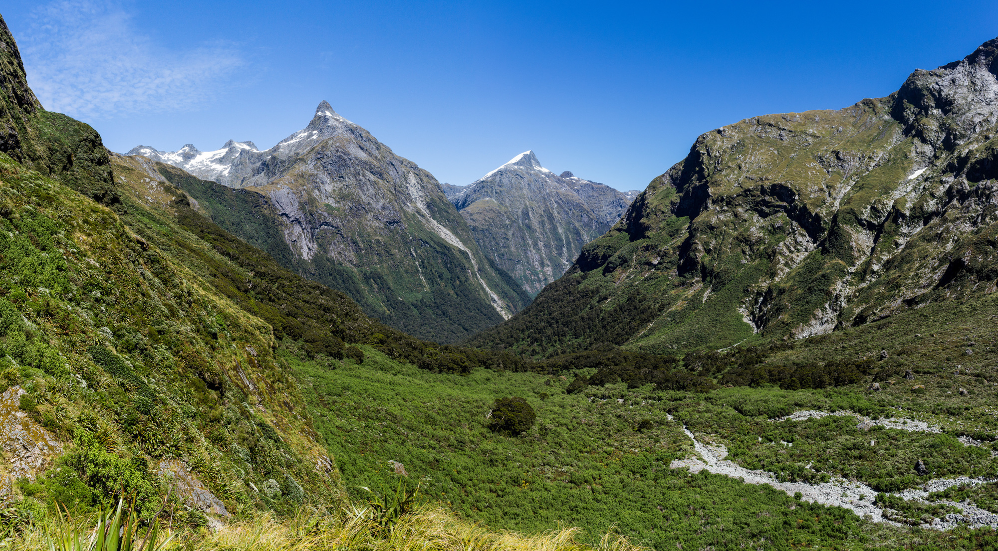 Mount Hart towering above the Arthur Valley on the descent from ...