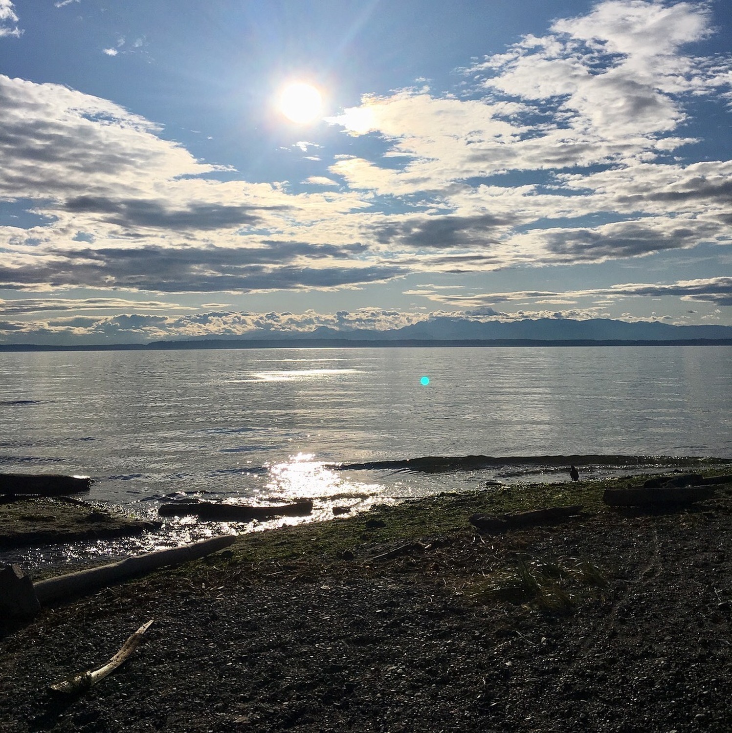 View from one of the Puget Sound beaches, with a great view of the ...