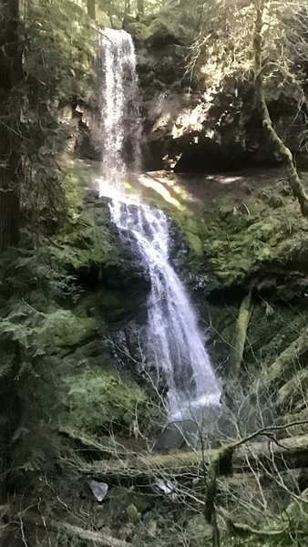 Upper Trestle Creek Trail #1403D Hiking Trail, Culp Creek, Oregon