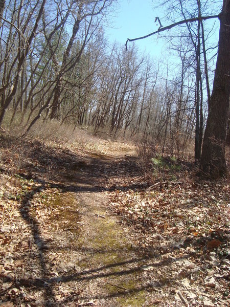 Crooked Lake Loop Trail Running Trail, Fennville, Michigan