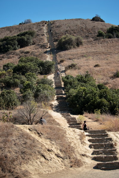Steps Trail Hiking Trail, Culver City, California