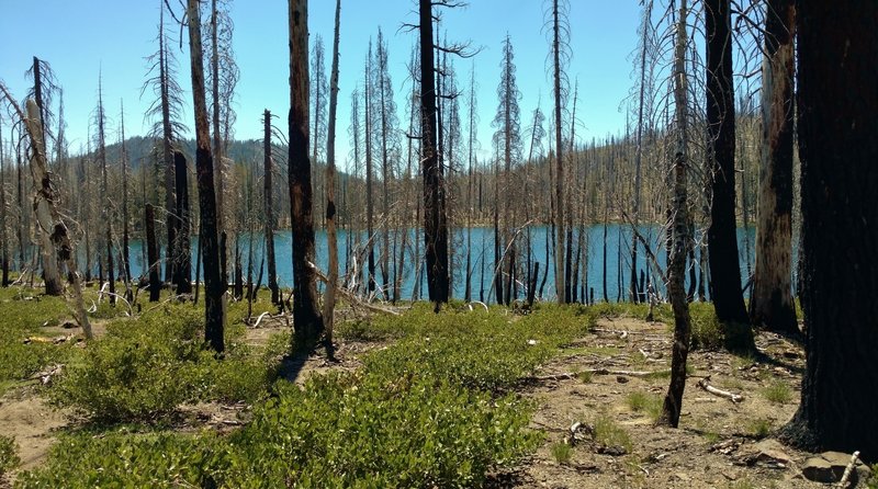 Feather Lake is a jewel in the fire blackened forest. The Reading ...