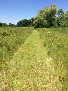 Prairie Pathway Hiking Trail, Dearborn Heights, Michigan