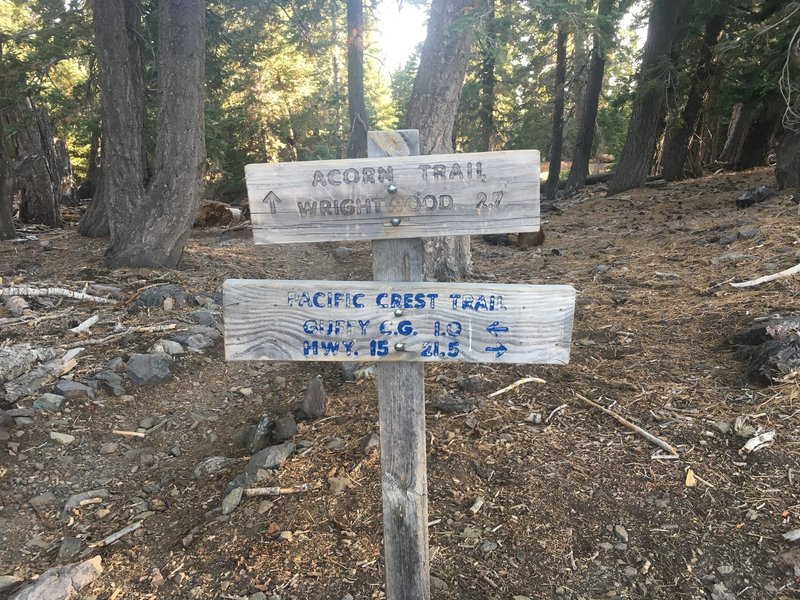 Acorn Trail Hiking Trail, Wrightwood, California