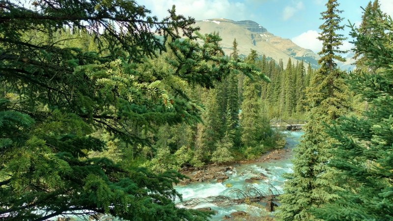 The Brazeau River fork from Brazeau Lake is crossed on a sturdy bridge ...
