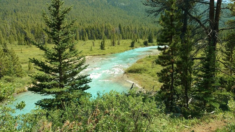 The beautiful turquoise Brazeau River, seen from the South Boundary ...
