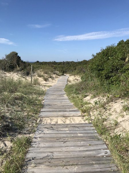 Seaside Trail Hiking Trail, Virginia Beach, Virginia