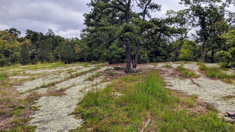 The namesake of Table Rocks trail, a large area of exposed bedrock in ...
