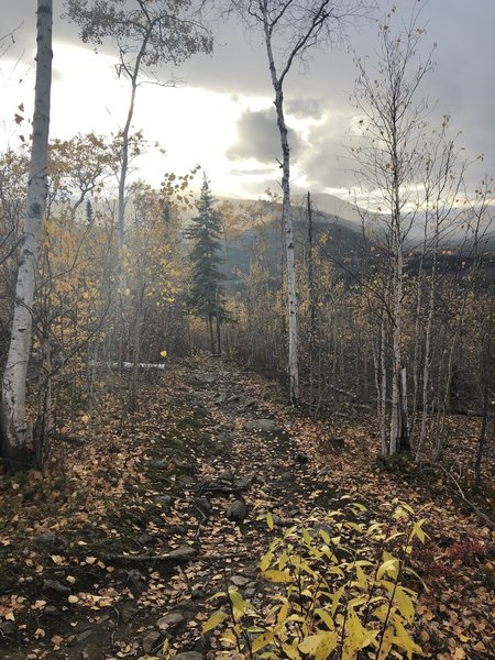 Angel Rocks Trail Hiking Trail, Eielson Air Force Base, Alaska