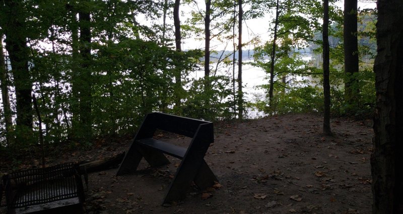 Bloodroot Trail Running Trail, Andrews, Indiana