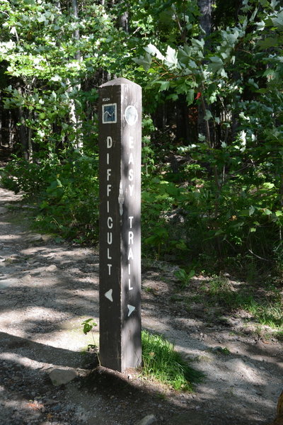 Left for the difficult route or right for the easy route. Both are walk ...