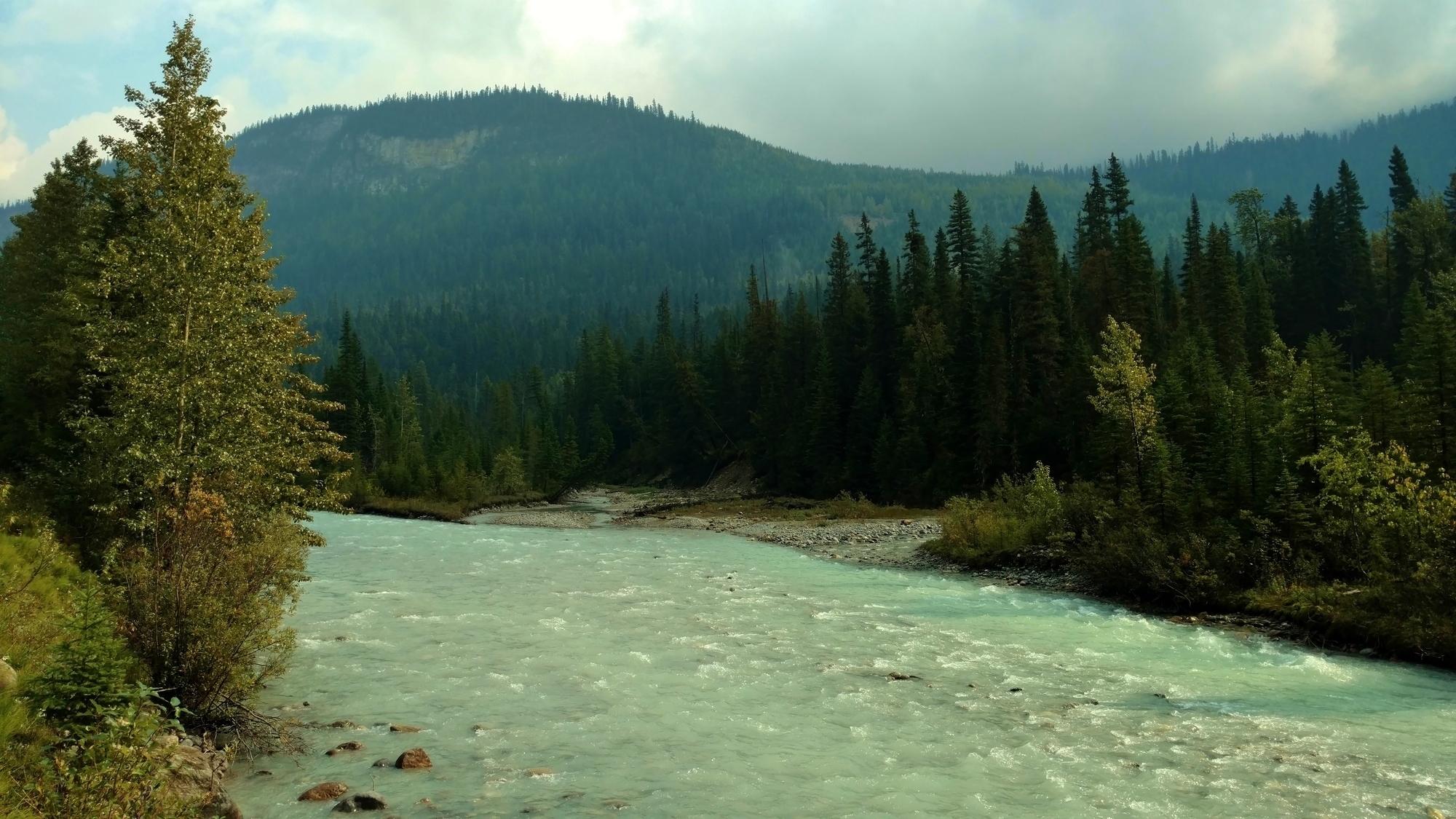 The Blaeberry River flows through the fir and spruce forests along ...