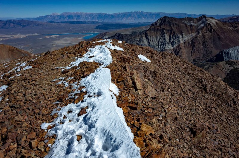 Mount Morrison viewed from the ridge of Bloody Mountain. White Mountain ...