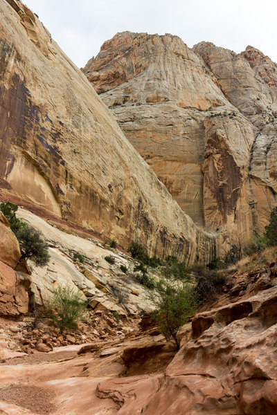 Amazing slick rock formations at the heart of Sheets Gulch