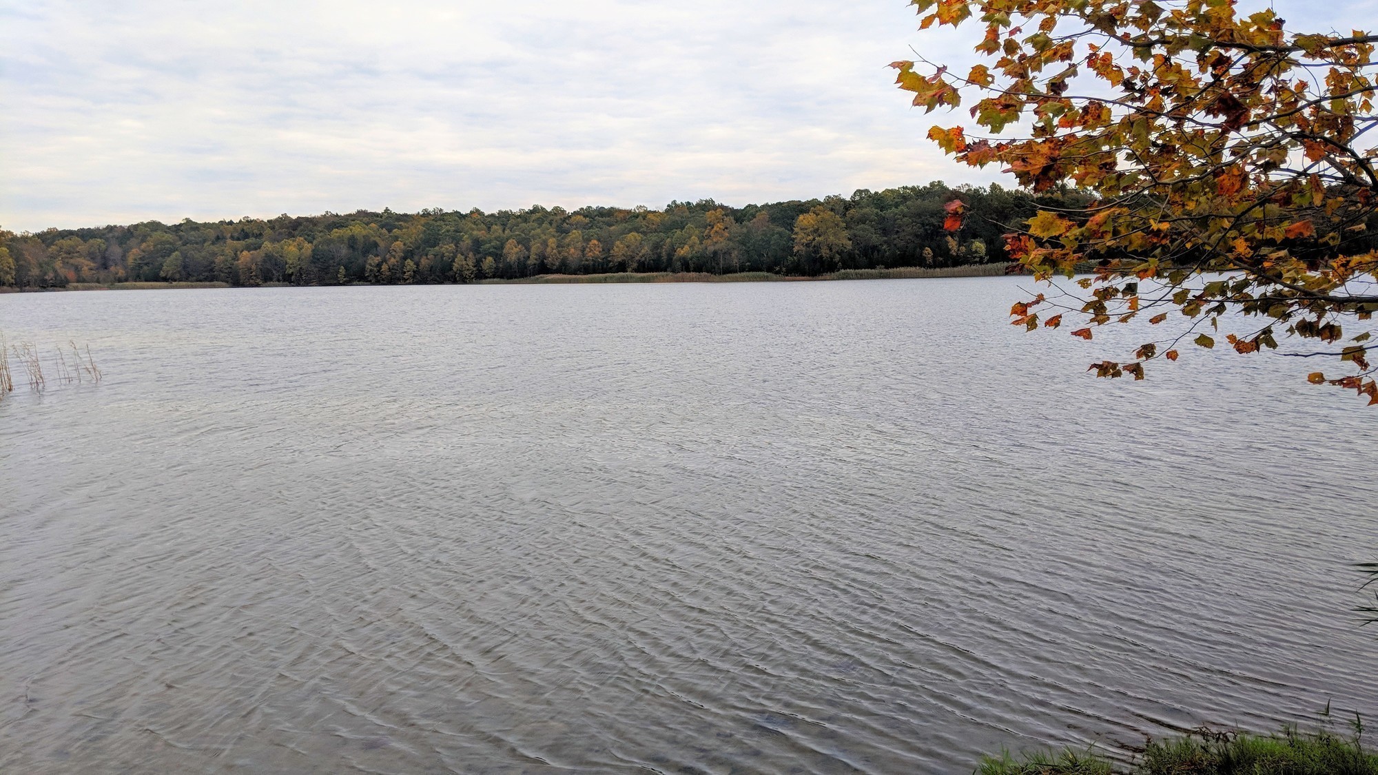 Early autumn near White Lake in Hardwick, NJ