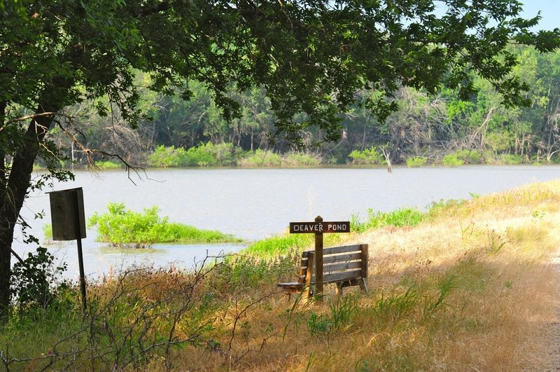 Meadow Pond Trail at Hagerman National Wildlife Refuge near Denison, Texas