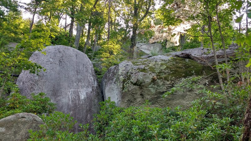 Big Rock Mountain Summit Trail Hiking Trail, Pickens, South Carolina