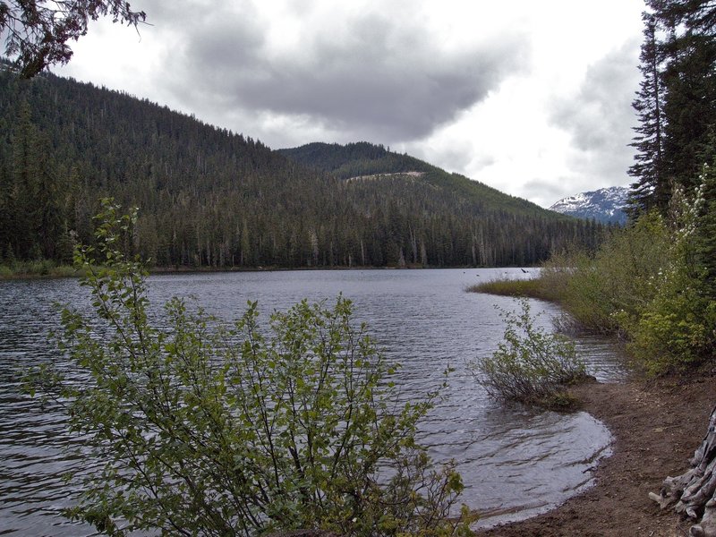Owhi Campground Trail Hiking Trail, Skykomish, Washington