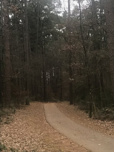 Secluded area on the Julieanna Park Trail