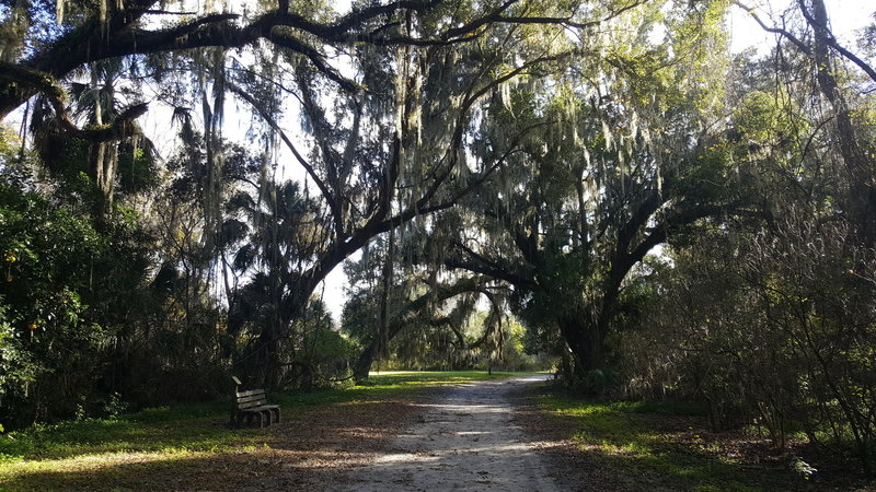 Carney Island - Fox Trot Loop Hiking Trail, The Villages, Florida