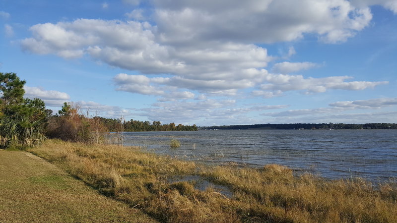 View of Lake Weir on the southern end of the loop trail.
