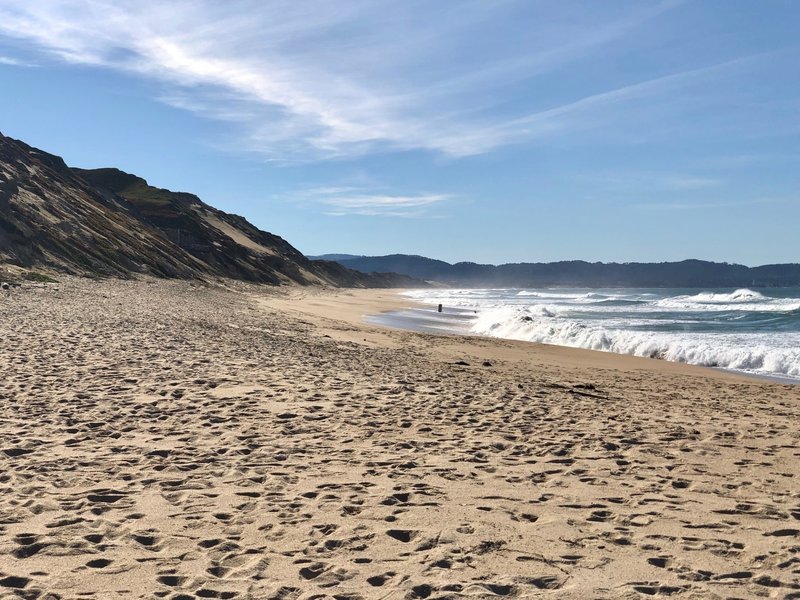 The wide open beach at Fort Ord Dunes State Park