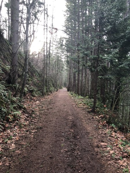 Interurban Trail Hiking Trail, Bellingham, Washington