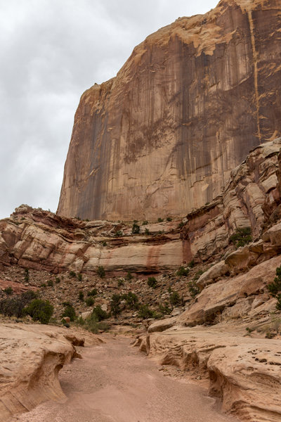 Massive towers made of Kayenta Sandstone watching over Lower Muley ...