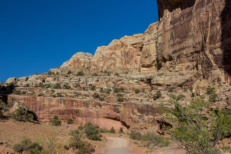 Capitol Gorge Road from the Capitol Gorge Trailhead. The trail to ...