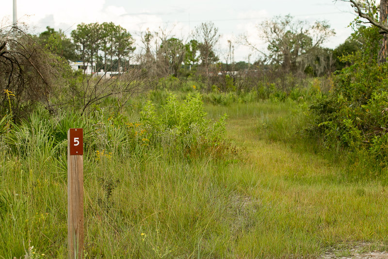 The trail is clearly marked, with sign posts indicating turns and ...