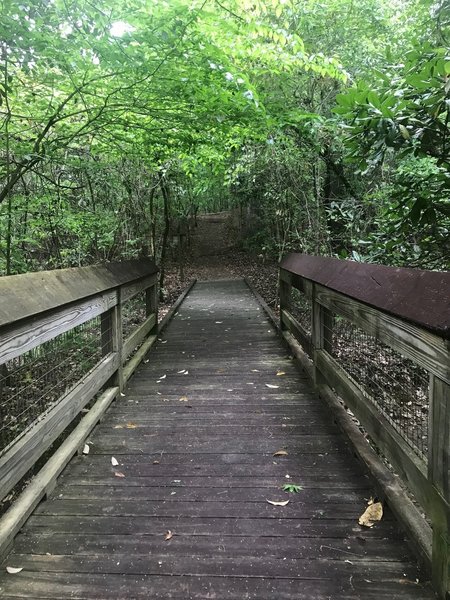 Louisiana Arboretum Tour Hiking Trail, Pine Prairie, Louisiana