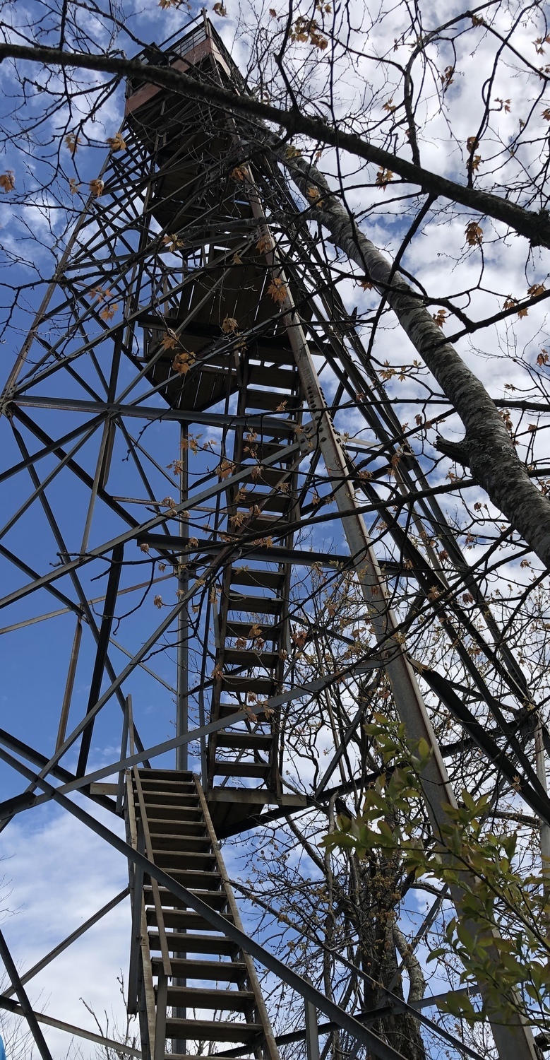 Shuckstack Fire Tower...a few more steps. Spectacular view.