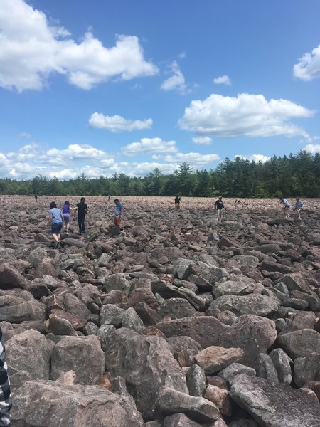 Boulder Field, Towamensing Trails, Pennsylvania