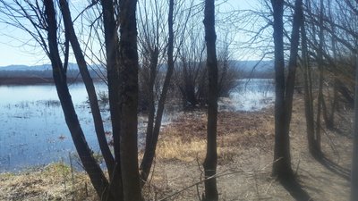Hiking Trails near Smith and Bybee Wetlands Natural Area