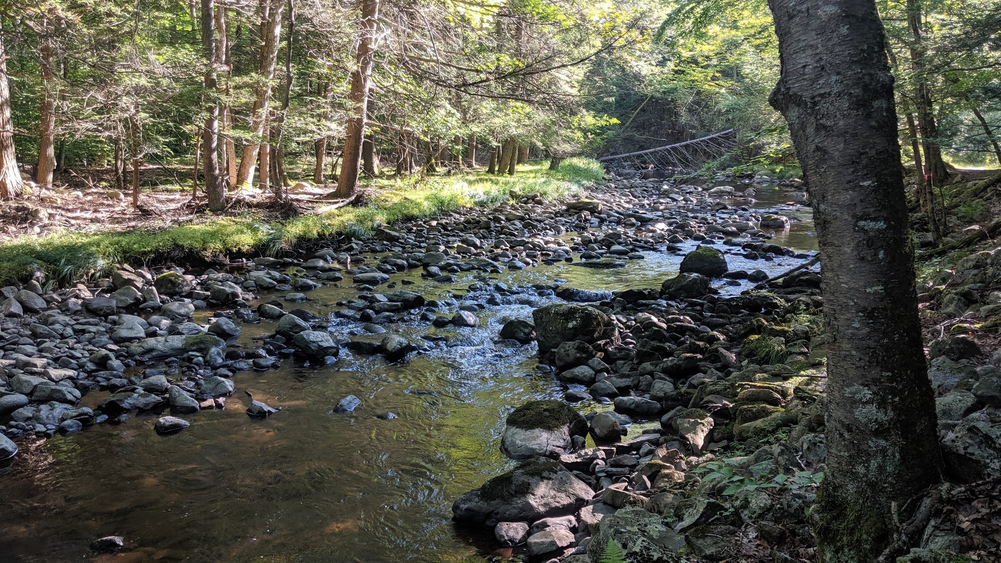Big Flat Brook meanders alongside Blue Mountain Trail in Stokes State ...