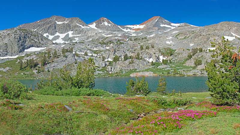 The near side of Lower Davis Lake is surround by green and flowery ...