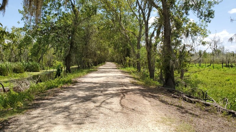 Brazos Bend State Park Figure Eight Loop Hiking Trail, Rosharon, Texas