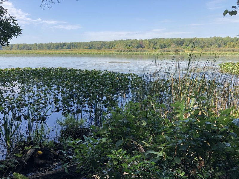Beaver Pond to Basin Overlook Out-and-Back Running Trail, Fort Belvoir ...